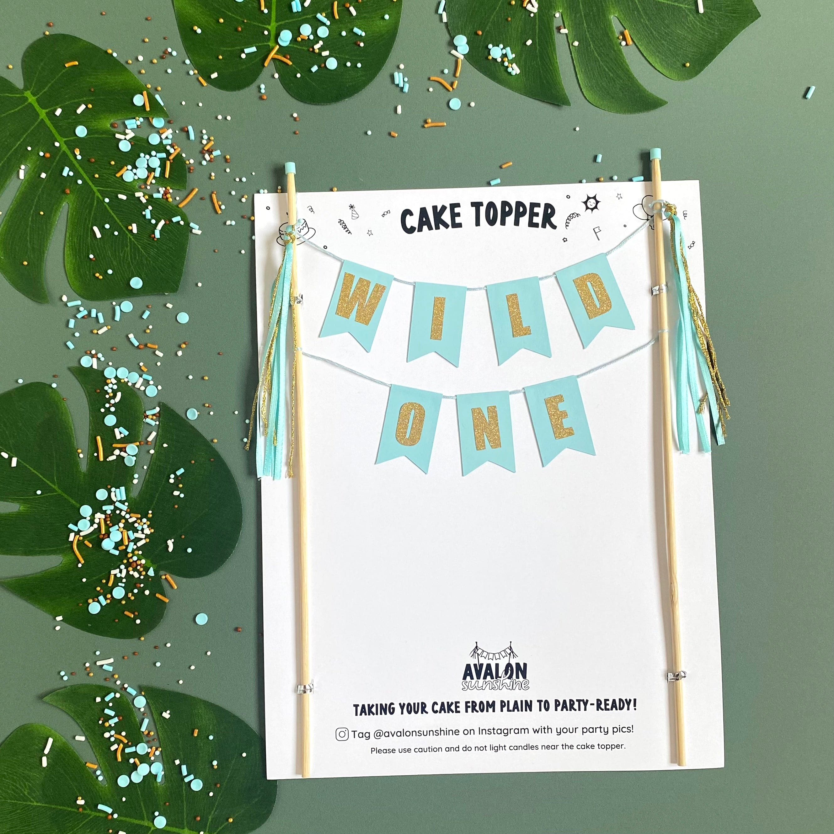 WILD ONE Cake Topper | Cake Toppers by Avalon Sunshine